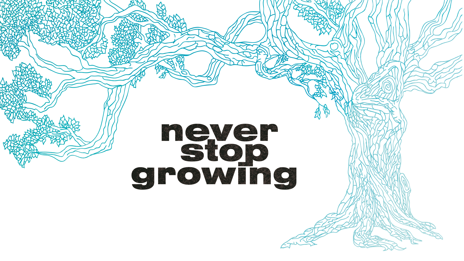 Never Stop Growing – Kings Church Eastbourne